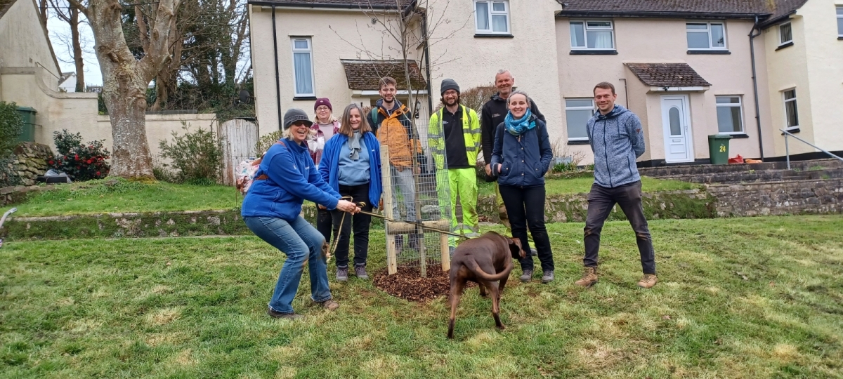 Forest for Cornwall gets underway as volunteers plant trees in Cornwall ...